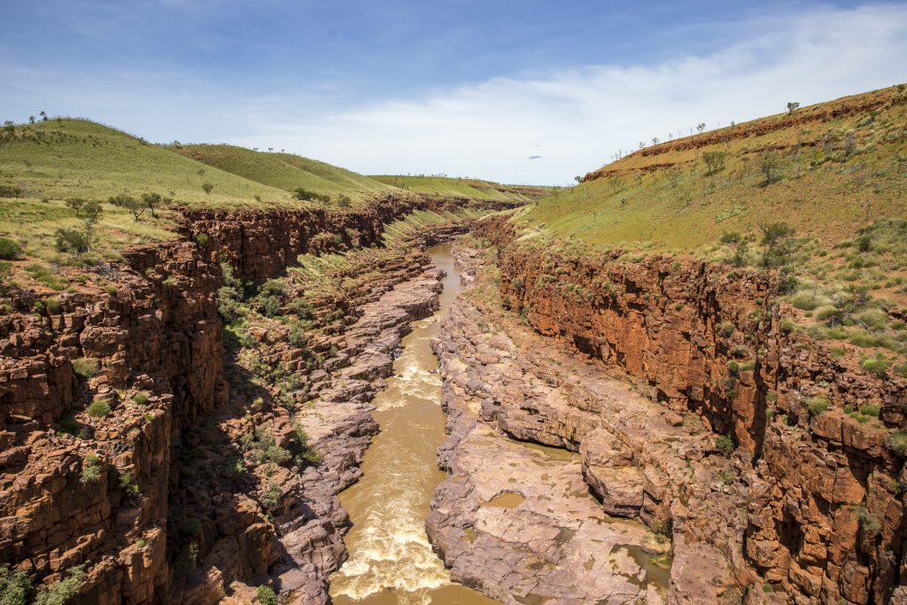 The Kimberley - Argyle Cattle Company