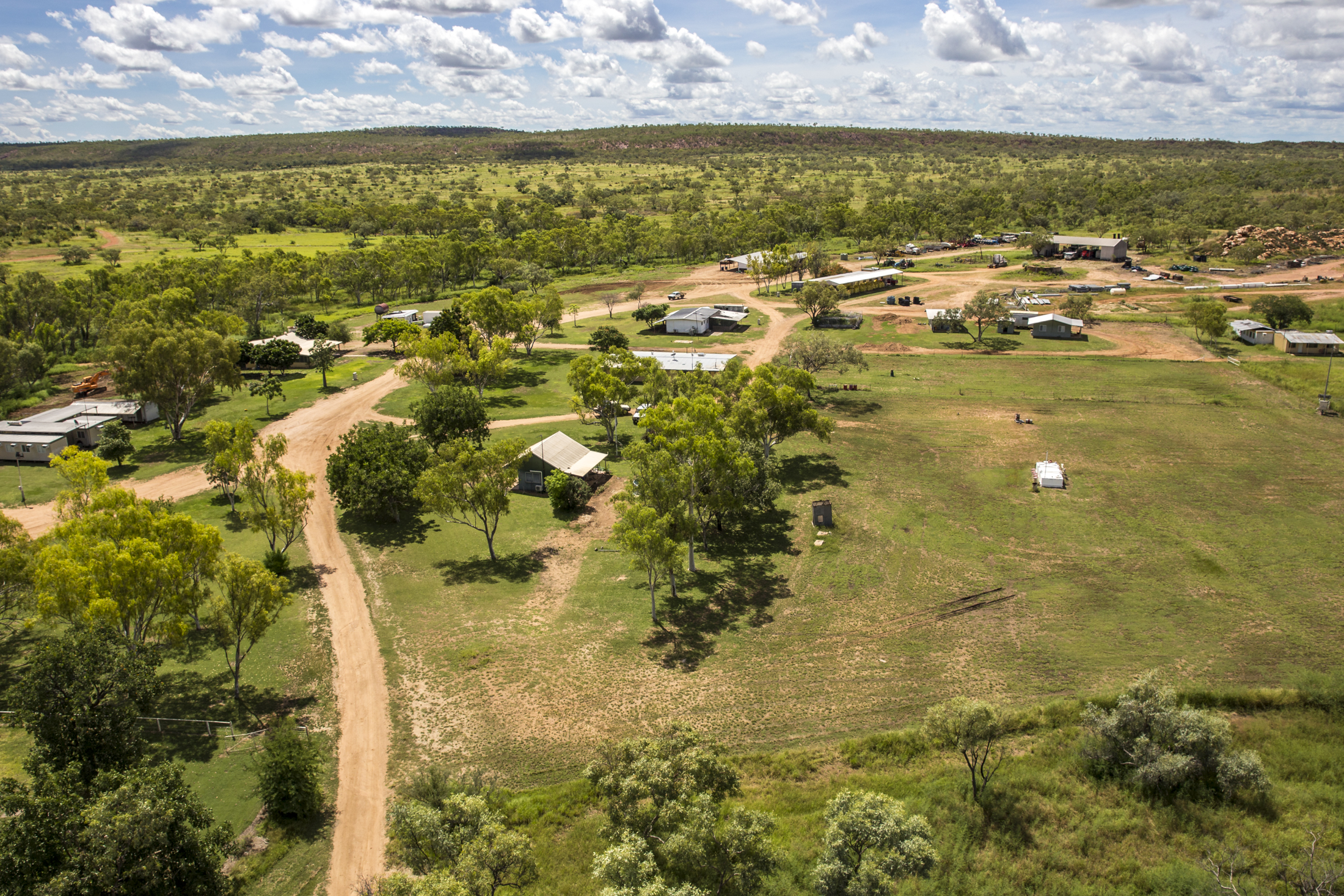 Moola Bulla & Mt Amhurst Stations | Argyle Cattle Company